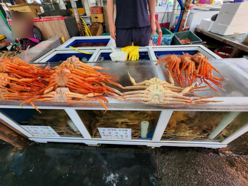 포항 영덕 여행 영덕 대게거리 동광어시장 포장 찜 비용 네이버 블로그