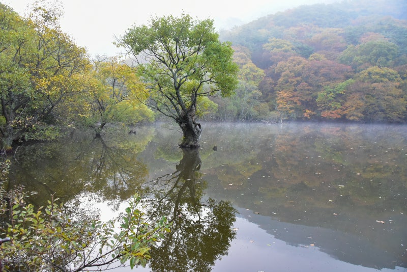 청송 가볼만한곳 청송 주산지 단풍 물안개 And 주차장 안내 네이버 블로그