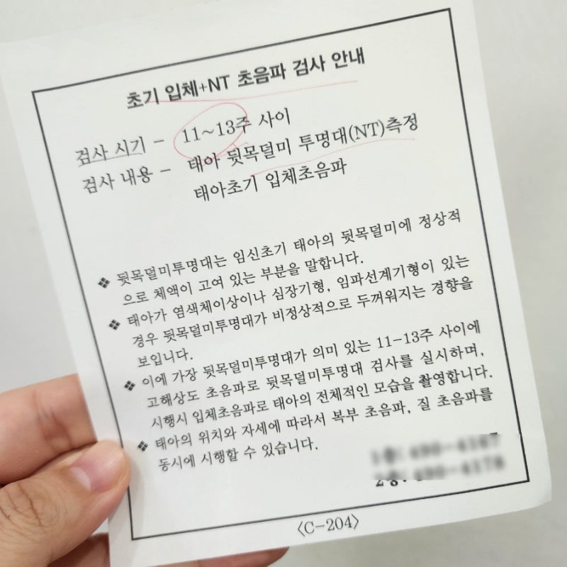 임신 12주차 1차 기형아 검사 방법과 시기 망우 장스여성병원 기형아 검사 후기 네이버 블로그