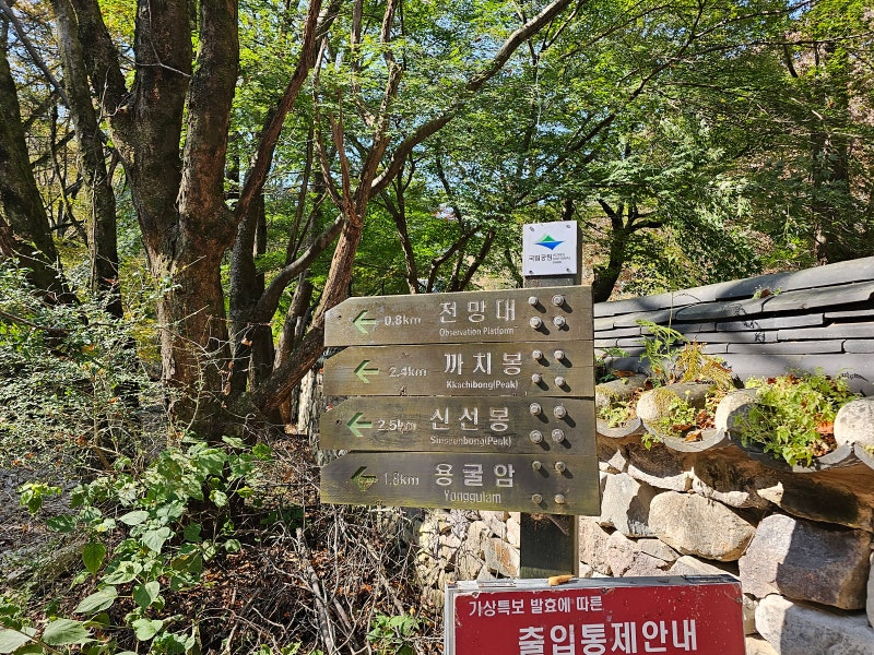 전라북도 정읍 내장산 등산코스 주차장~내장사~까치봉~신선봉~연자봉~전망대 단풍절정시기 네이버 블로그