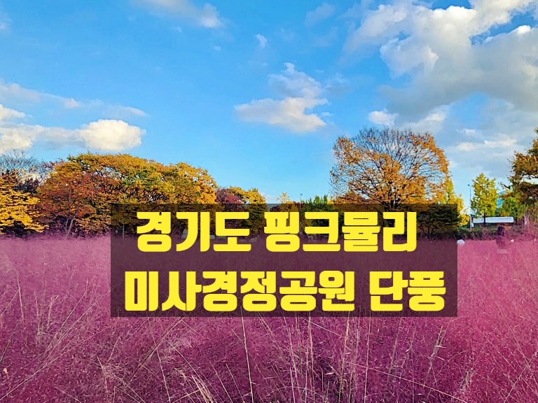 하남 미사경정공원 경기도 핑크뮬리 명소 서울근교 단풍 여행 국화꽃구경 추천 네이버 블로그