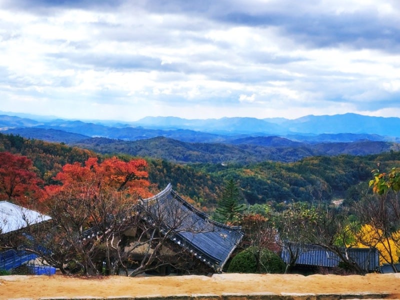 영주 부석사 은행나무 단풍 영주 가볼만한 곳 부석사 아름다운 단풍 절정 네이버 블로그