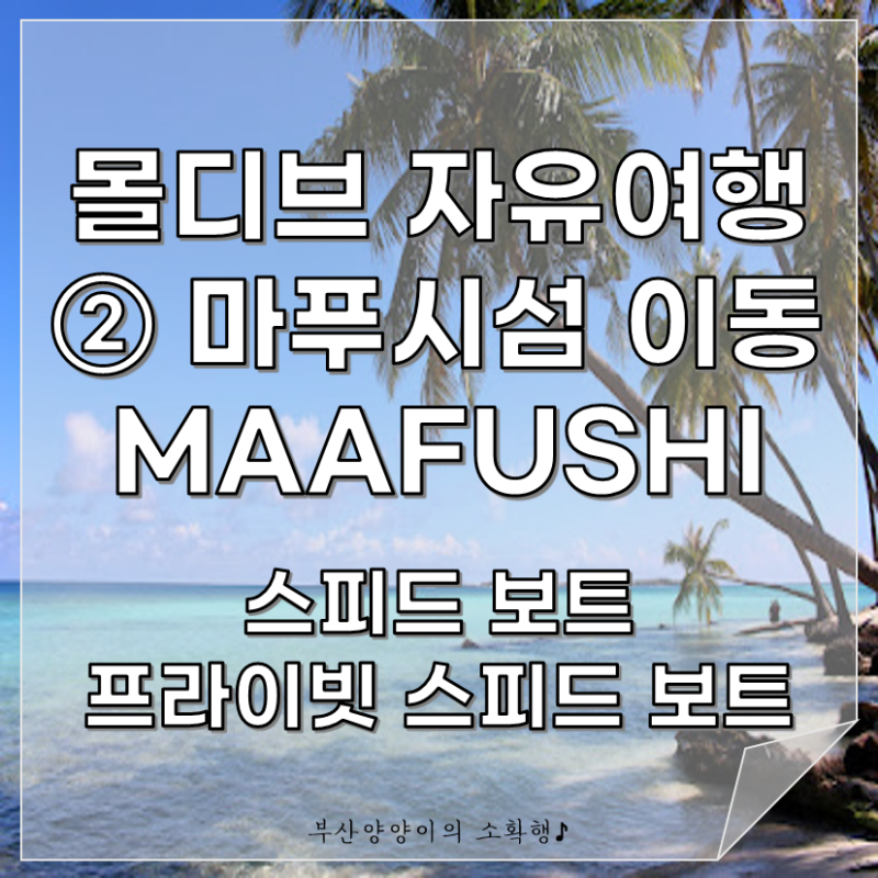 몰디브 자유여행 ②몰디브 말레 공항에서 마푸시섬 이동 수단 마푸시섬 이동 방법 스피드 보트 마푸시섬 스피드 보트