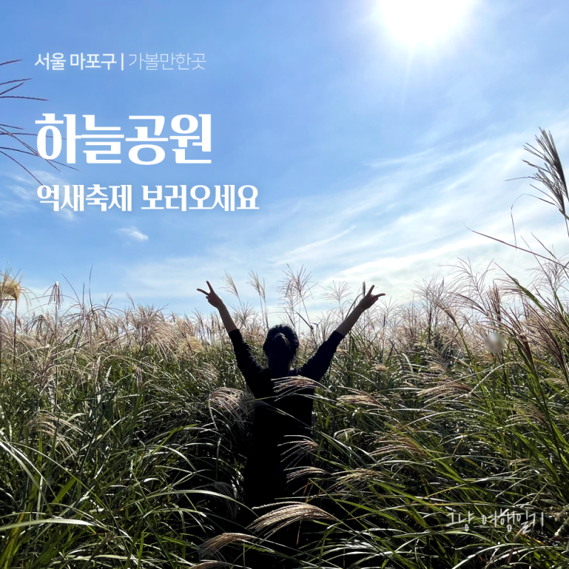 서울 하늘공원 억새축제 월드컵 공원 핑크뮬리 상암 가볼만한곳 주차 맹꽁이열차 네이버 블로그