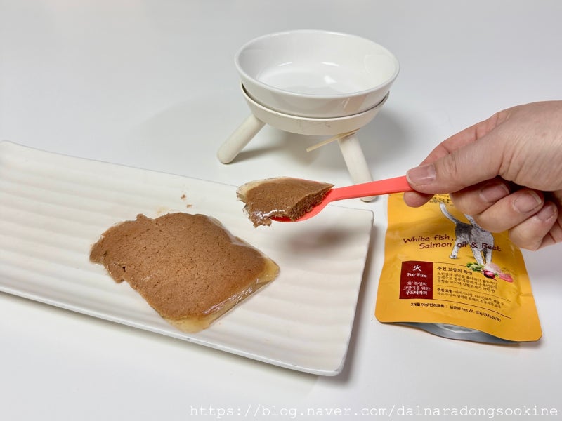 고양이습식 간식캔파우치 보양대첩 보양주식 체질맞춤 추천 : 네이버 블로그