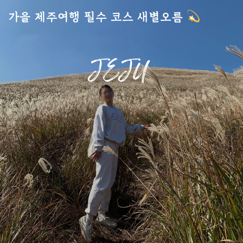제주 새별오름 부모님과 11월 억새 여행 후기 정상 소요시간 주차장 꿀팁 제주도 오름 추천 네이버 블로그