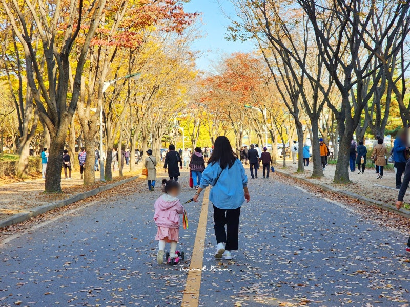 인천대공원 단풍 명소 인천 단풍구경 가을나들이주차 팁 네이버 블로그