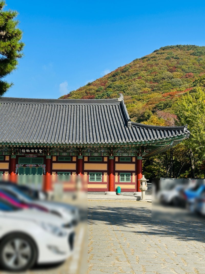 부산 금정구 부산 가볼 만한 곳 범어사 단풍 명소 방문 후기 주차 꿀팁 네이버 블로그