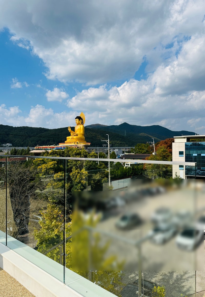부산 금정구 두구동 대형 신상 카페 무목 Mumok 방문 후기 주차꿀팁 네이버 블로그