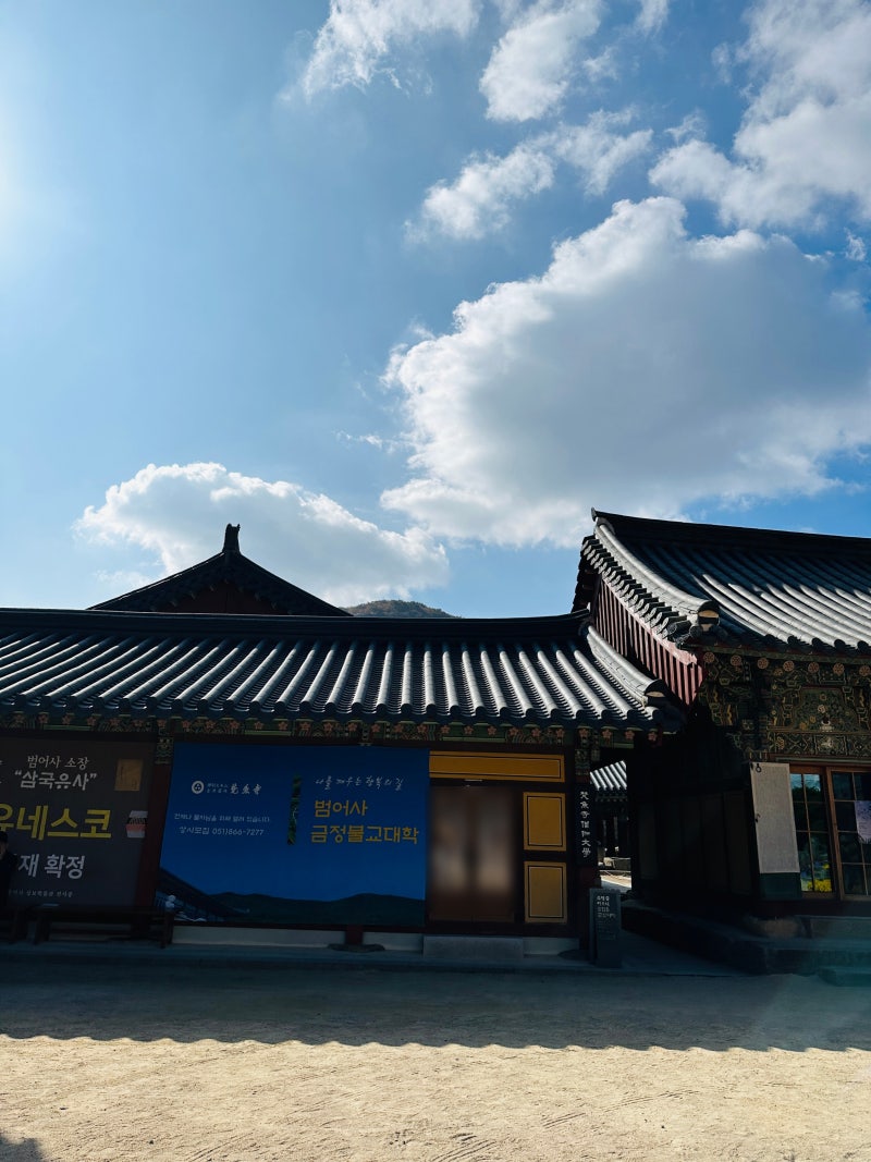 부산 금정구 부산 가볼 만한 곳 범어사 단풍 명소 방문 후기 주차 꿀팁 네이버 블로그
