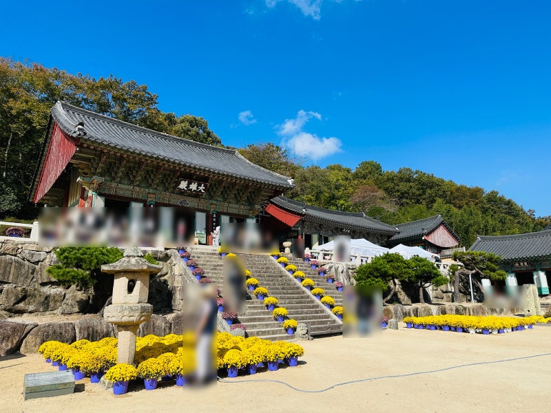 부산 금정구 부산 가볼 만한 곳 범어사 단풍 명소 방문 후기 주차 꿀팁 네이버 블로그