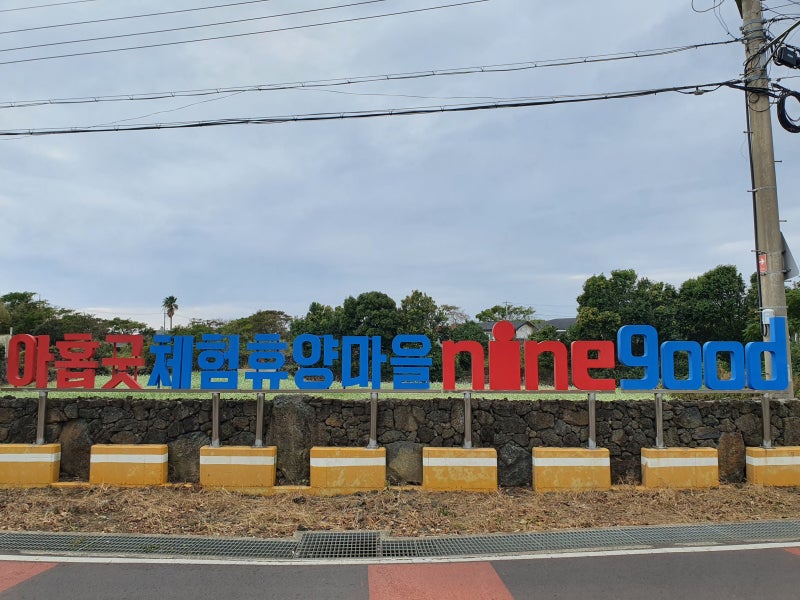 제주 중산간 트레킹 올레길 13코스 낙천의자공원 등 제주도 서쪽 뚜벅이 여행 네이버 블로그