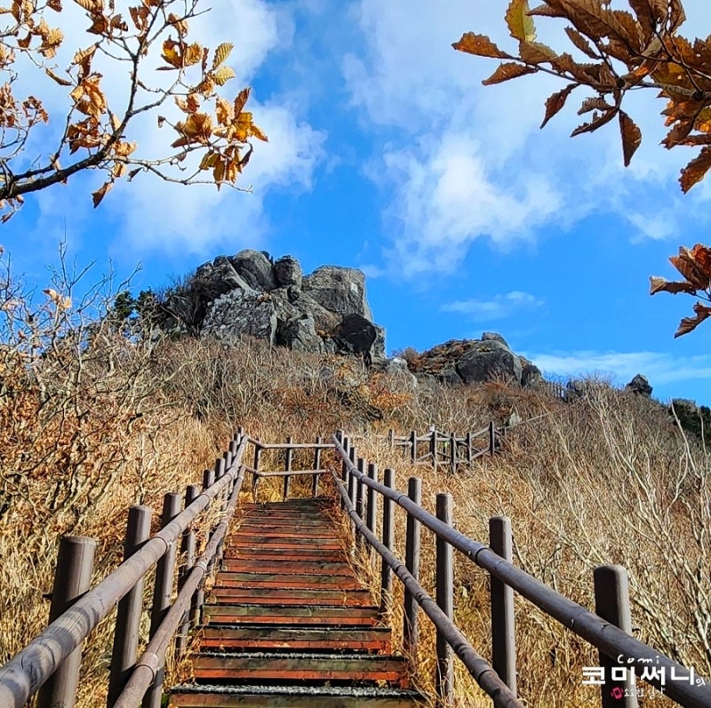[무주 여행] 덕유산국립공원 덕유산 곤도라 상제루 쉼터~향적봉 정상 뷰 단풍 절정 네이버 블로그