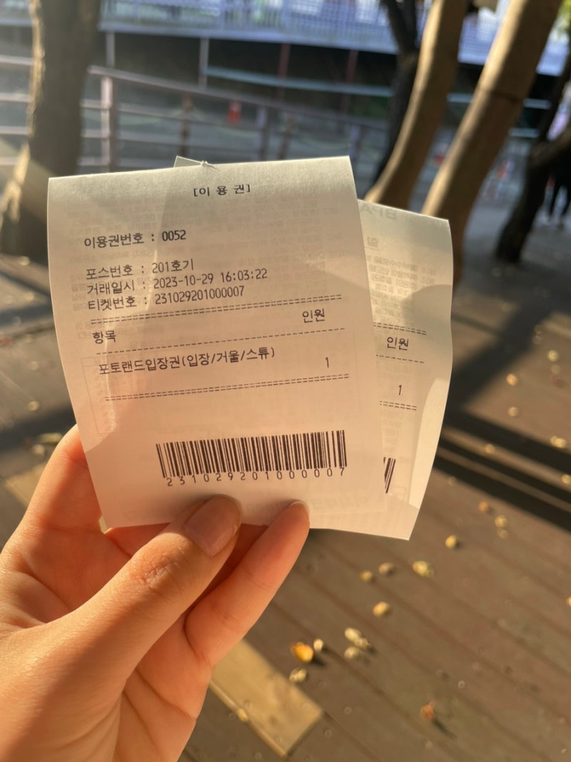 청도 프로방스 빛축제 기본정보 입장료 할인 먹거리 포토랜드 네이버 블로그