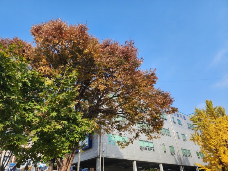 공인중개사법 위반 대표 유형과 처벌 사례들 네이버 블로그