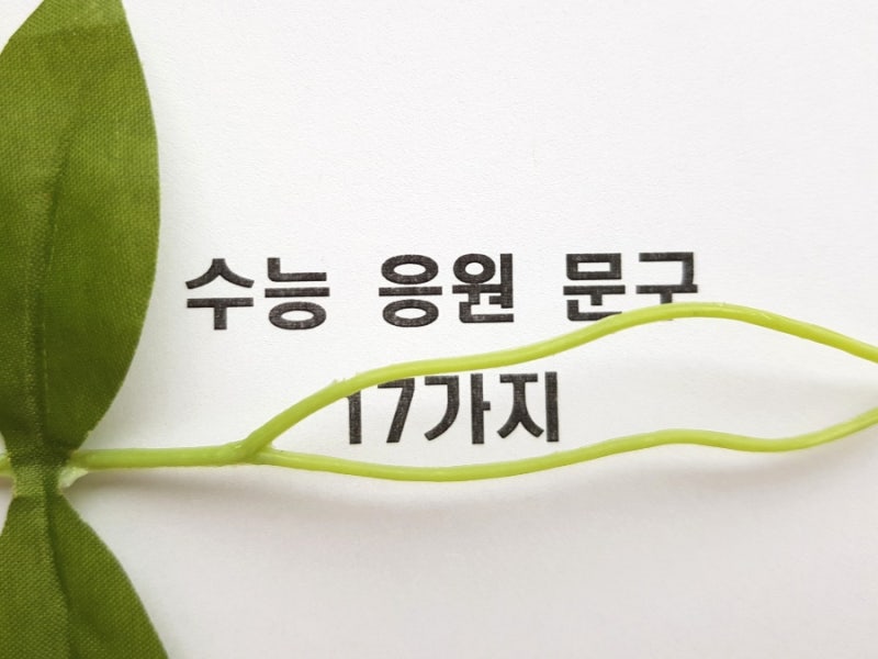 수능 응원 문구 기 팍팍 살릴 메세지 센스있는 걸로 17가지 준비해 봤어요 네이버 블로그