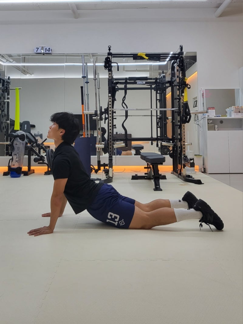 FMS(Functional Movement Screen) 기능적 움직임 검사 : 네이버 블로그