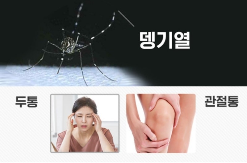 야외활동 시 벌레 물린 자국 종류와 증상 및 대처 방법 네이버 블로그