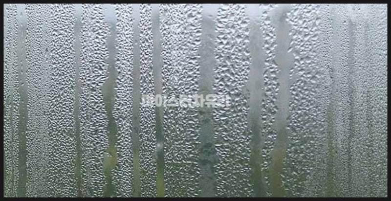 겨울철 자동차 앞 유리 습기 제거 김서리성애 방지 방법 네이버 블로그