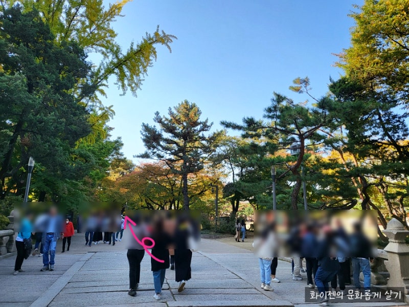 서울 국립현대미술관 덕수궁 예약 할인 가는법 네이버 블로그