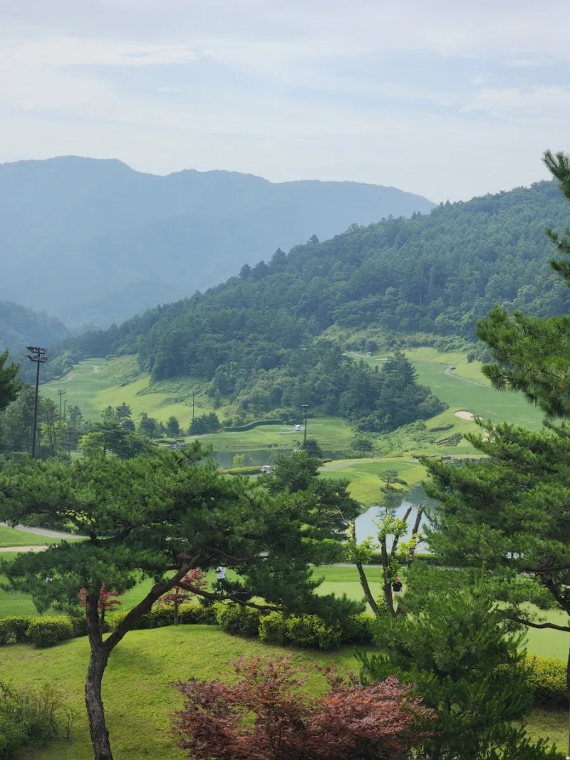 평내동골프 베네핏골프연습장월례회3탄평내호평동골프 네이버 블로그