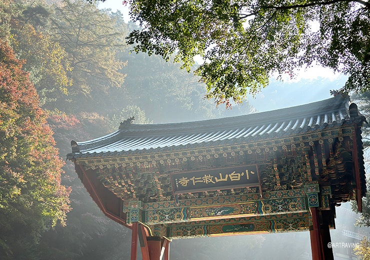 단양 가을여행 충북 단풍명소 소백산 아래 자리 잡은 천태종 구인사셔틀버스 시간 네이버 블로그