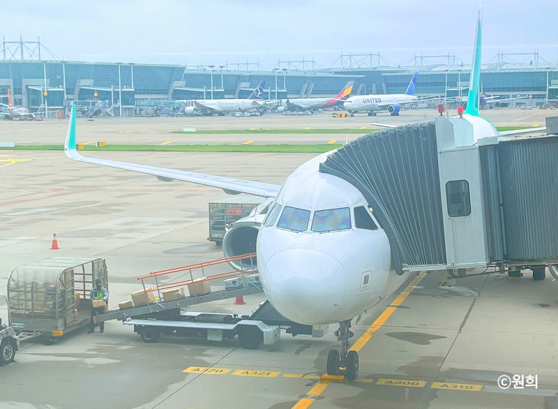 일본 입국심사 서류 입국신고서 세관신고서 오사카 간사이 국제공항 네이버 블로그