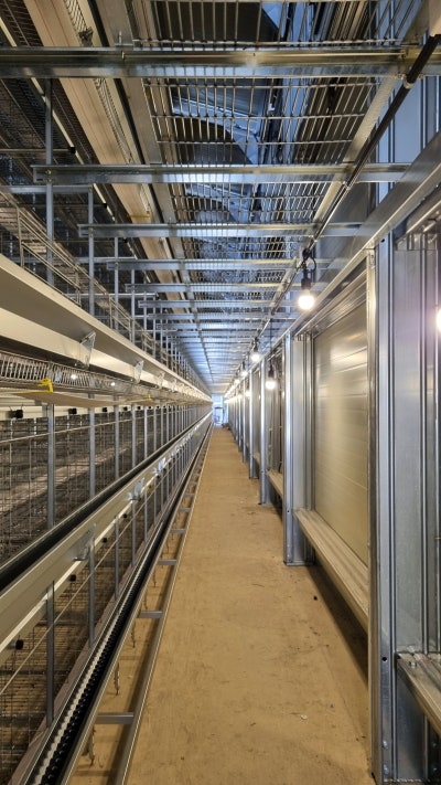 엘이비 경량 철골 축사(산란계 양계장)+퇴비사+창고 건축 공사 : 네이버 블로그