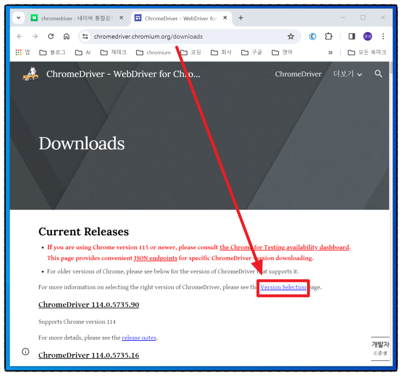 최신 chromedriver(크롬드라이버) 버전 다운로드 방법 : 네이버 블로그