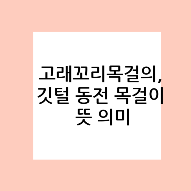 고래꼬리목걸이 뜻 의미 깃털 동전 목걸이 뜻 의미