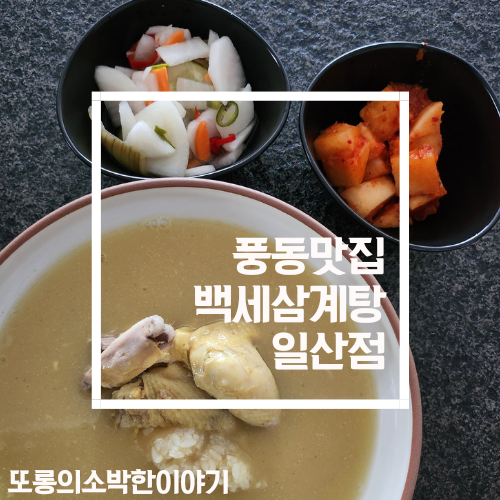 풍동맛집 으로 소문난 백세삼계탕일산점 다녀왔어요 네이버 블로그