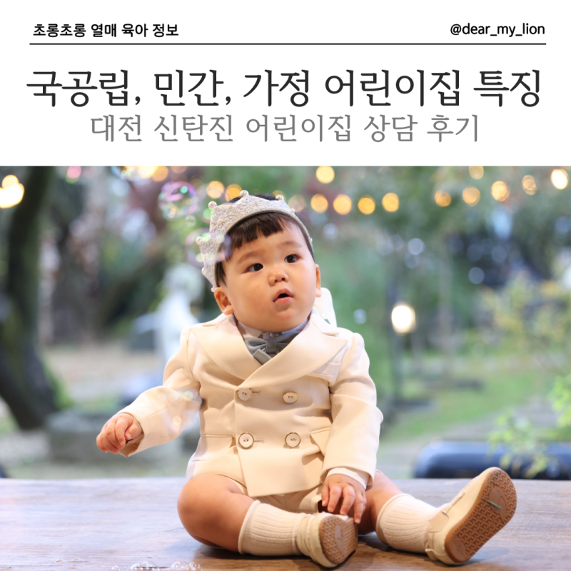 대전 국공립 민간 가정 어린이집 차이점 장점 단점 상담 후기 네이버 블로그
