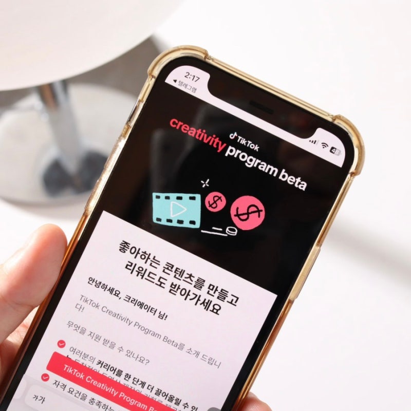 틱톡 TikTok 수익창출 구조 프로그램 3가지 총정리! : 네이버 블로그