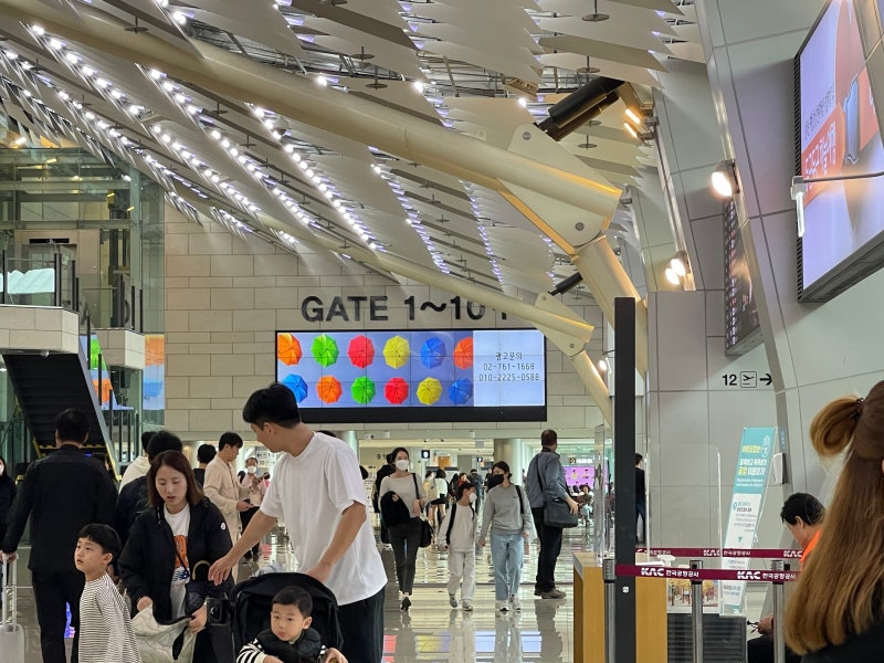 제주도 여행 국내선 비행기 탈 때 여권 주민등록증 신분증 네이버 블로그