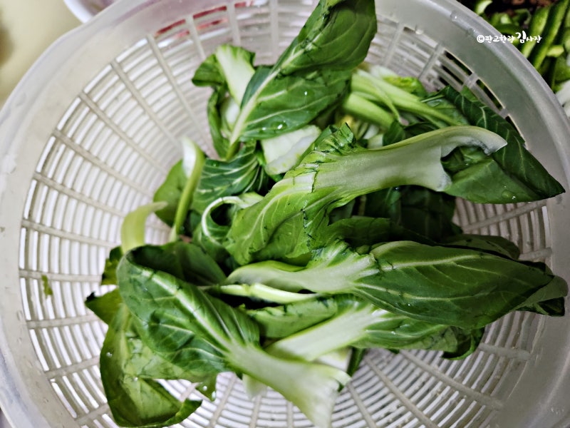 팔보채 만들기 팔보채재료 있는대로넣고 만드는법 ~ 맛있게 네이버 블로그