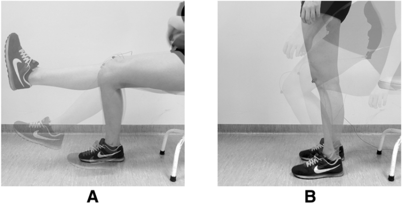열린운동사슬(OKC)과 닫힌운동사슬(CKC) : 네이버 블로그