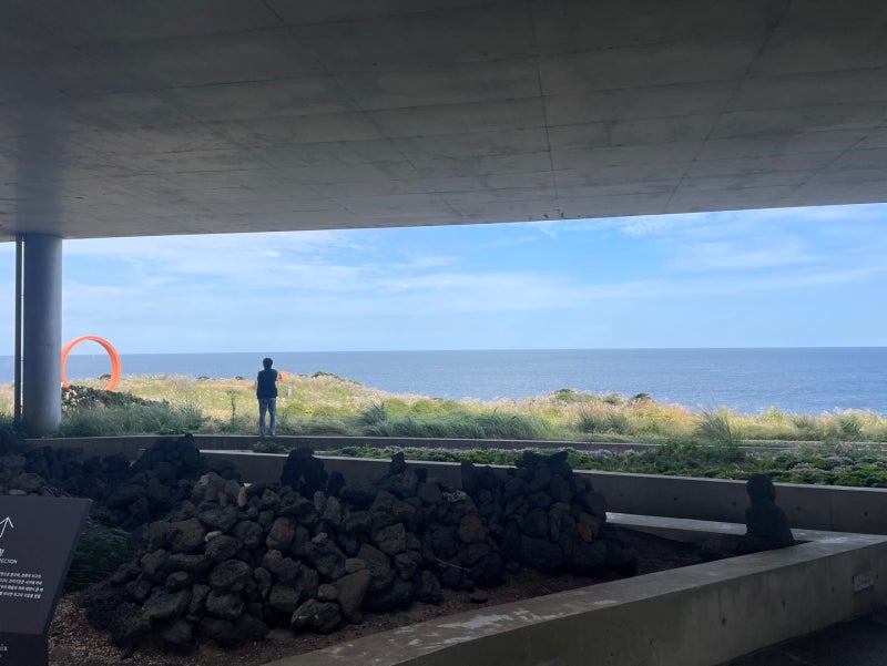 제주도 가볼 만한 곳, 제주 섭지코지 깔끔 정리(Feat. 섭지코지 뜻, 섭지코지 승마) : 네이버 블로그