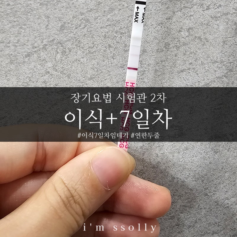 소성부부 내가 임신 시험관 3일배양 이식 후 7일차 임테기 연한 두줄 임테기별 비교 현실 리액션 네이버 블로그