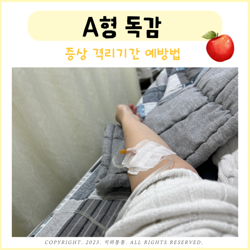 A형 독감 격리기간 증상 잠복기 전염성 학교 가족 격리 의무 예방법 네이버 블로그