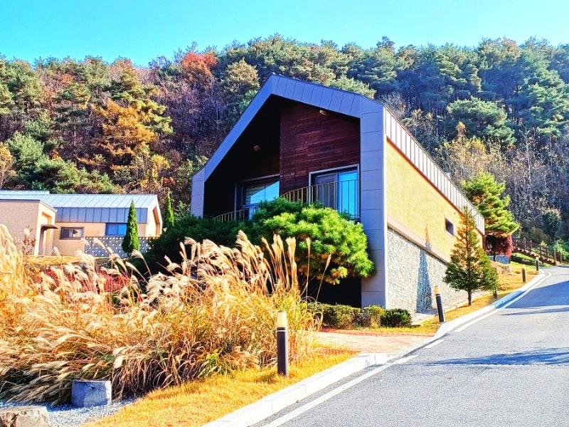 우리나라 휴양림계의 5성급 단양 소백산 자연휴양림 정감록명당체험마을 사자자리 숙박 후기 네이버 블로그