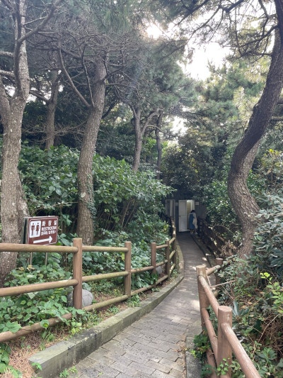 제주도 가볼 만한 곳 / 제주 성산일출봉 완벽 정리!(Feat. 성산일출봉 입장료, 성산일출봉 소요시간) : 네이버 블로그