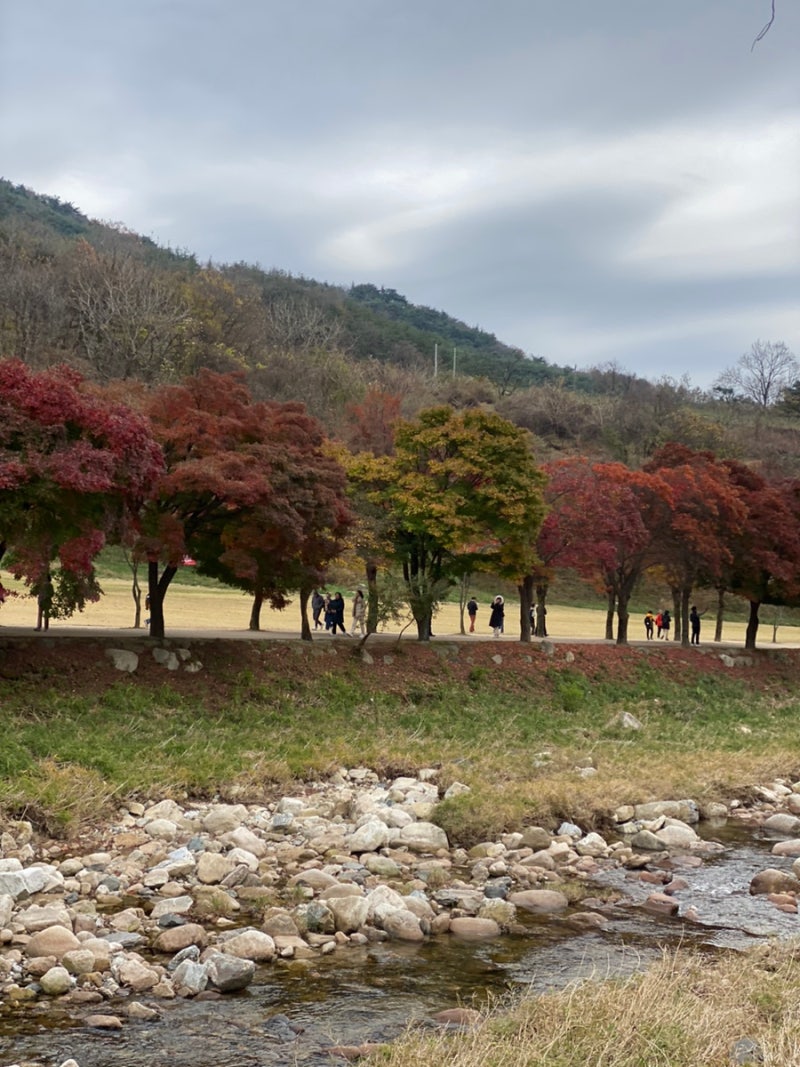 문경 문경새재도립공원 주차 꿀팁 경북 문경 가볼만한곳 오픈세트장 1박 2일 여행 네이버 블로그