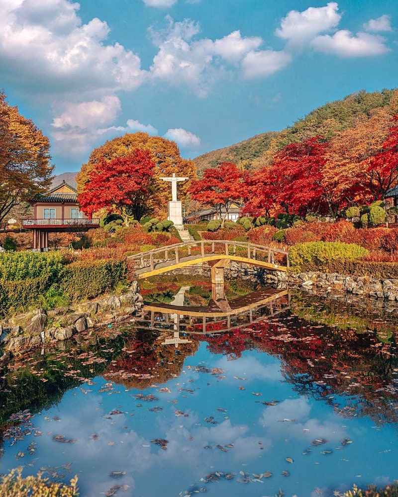 충북 제천 가볼만한곳 비룡담저수지 배론성지 의림지 솔밭공원 제천 자동차극장 네이버 블로그