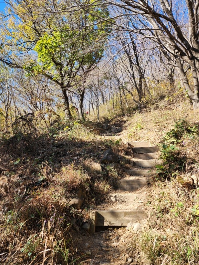 부산 초보자도 갈수 있는 백양산 등산코스feat선암사 네이버 블로그