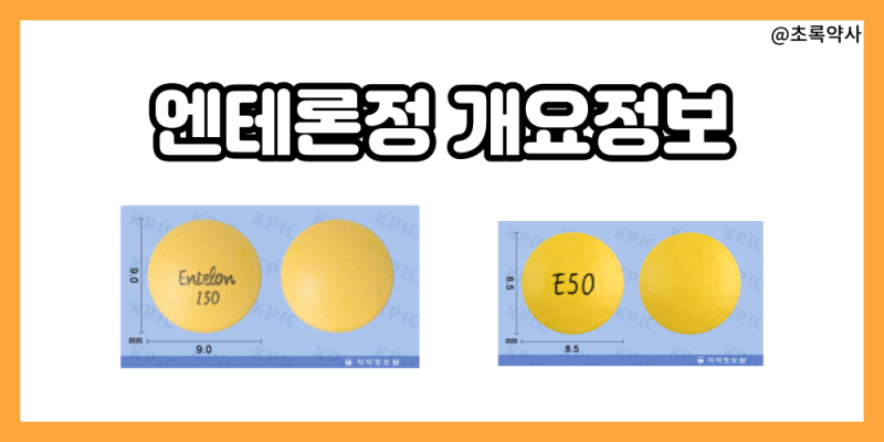 엔테론정 150mg 효능 기전 부작용 하지정맥류 망막 맥락막 효과 Entelon 네이버 블로그
