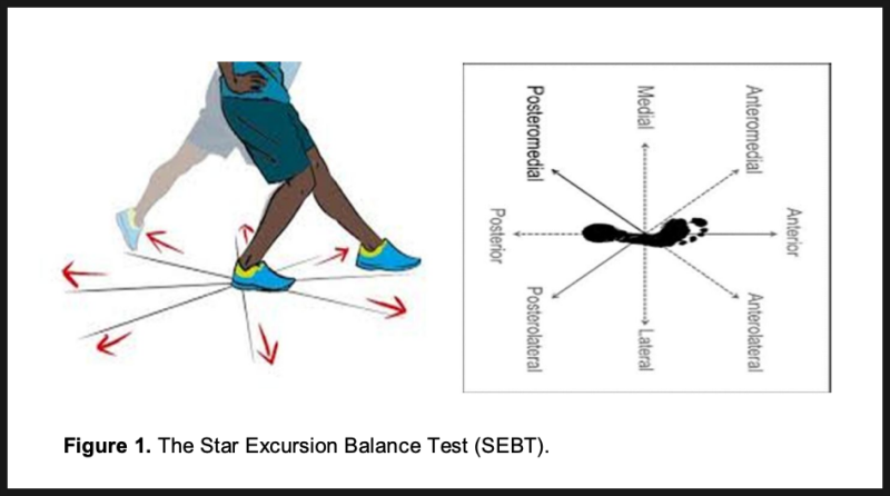 SEBT(star excursion balance test) / 한 발 서기 발목 불안정성 검사 : 네이버 블로그