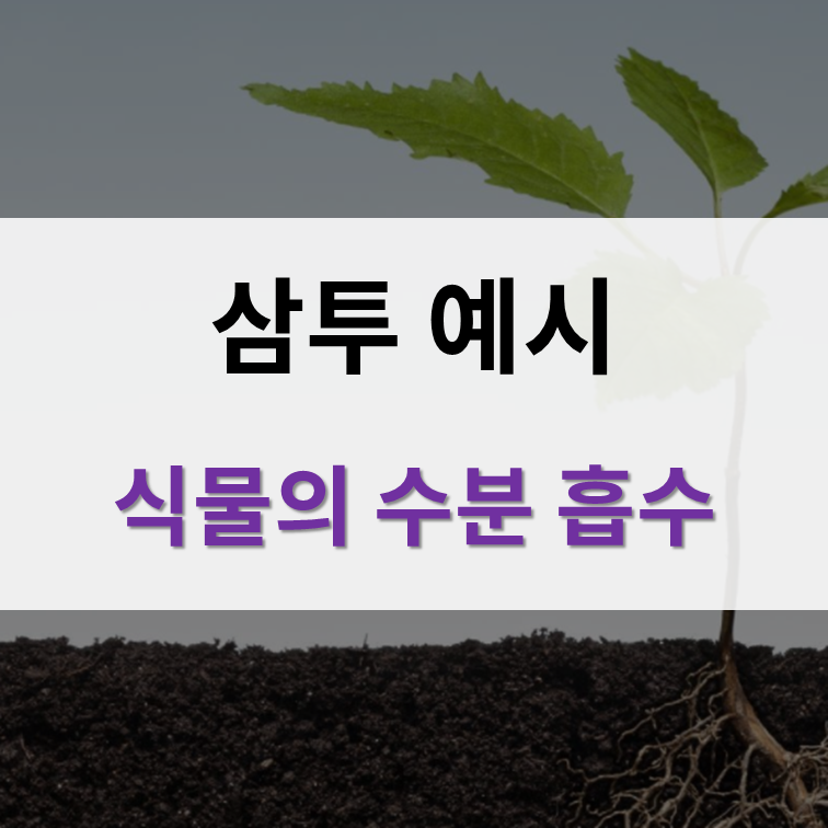 확산과 삼투 세포막을 통해 물질이 출입하는 원리 네이버 블로그