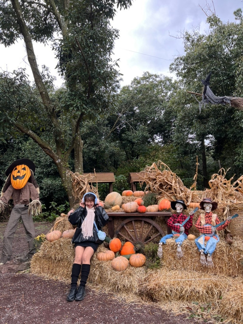 제주도 서쪽 가볼만한곳 산양큰엉곶 숲길 인생샷 포토존 추천 : 네이버 블로그