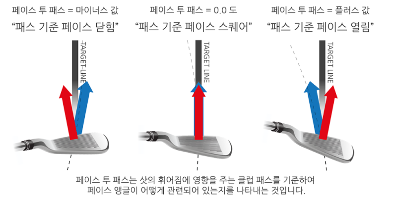 페이스투패스(FACE TO PATH) 골린이가 알아야 할 골프데이터4 : 네이버 블로그