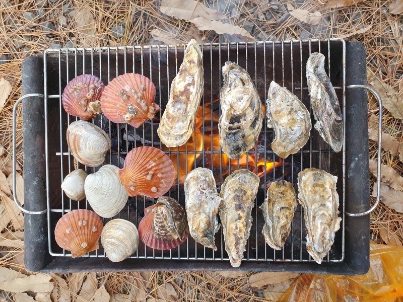 보령 용두해수욕장 동백관 객실 및 숲속야영장캠핑장 방문 후기 네이버 블로그